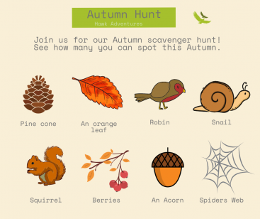 Autumn Scavenger Hunt | Hawk Adventures